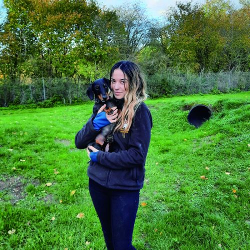 Meet The Staff - Two Acre Kennels Dereham Norfolk